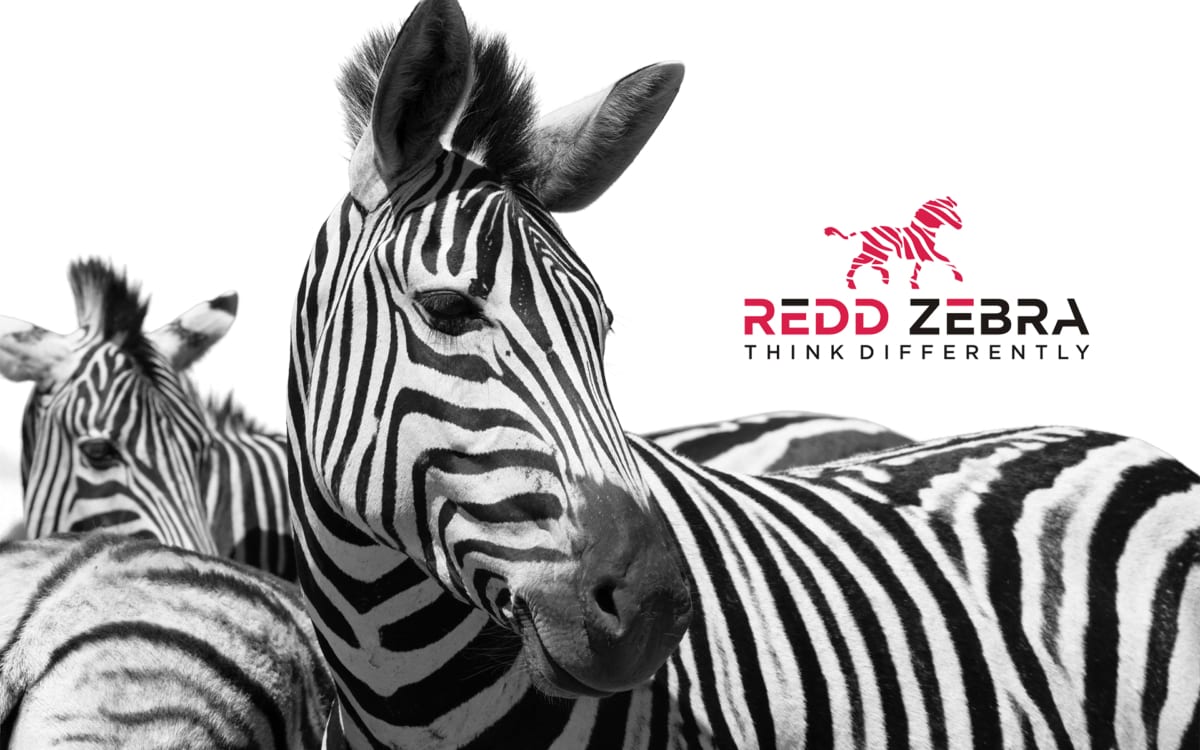 About us - Redd Zebra